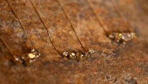 De Beers Unveils New Campaign as Natural Diamond Marketing Spend Hits ...